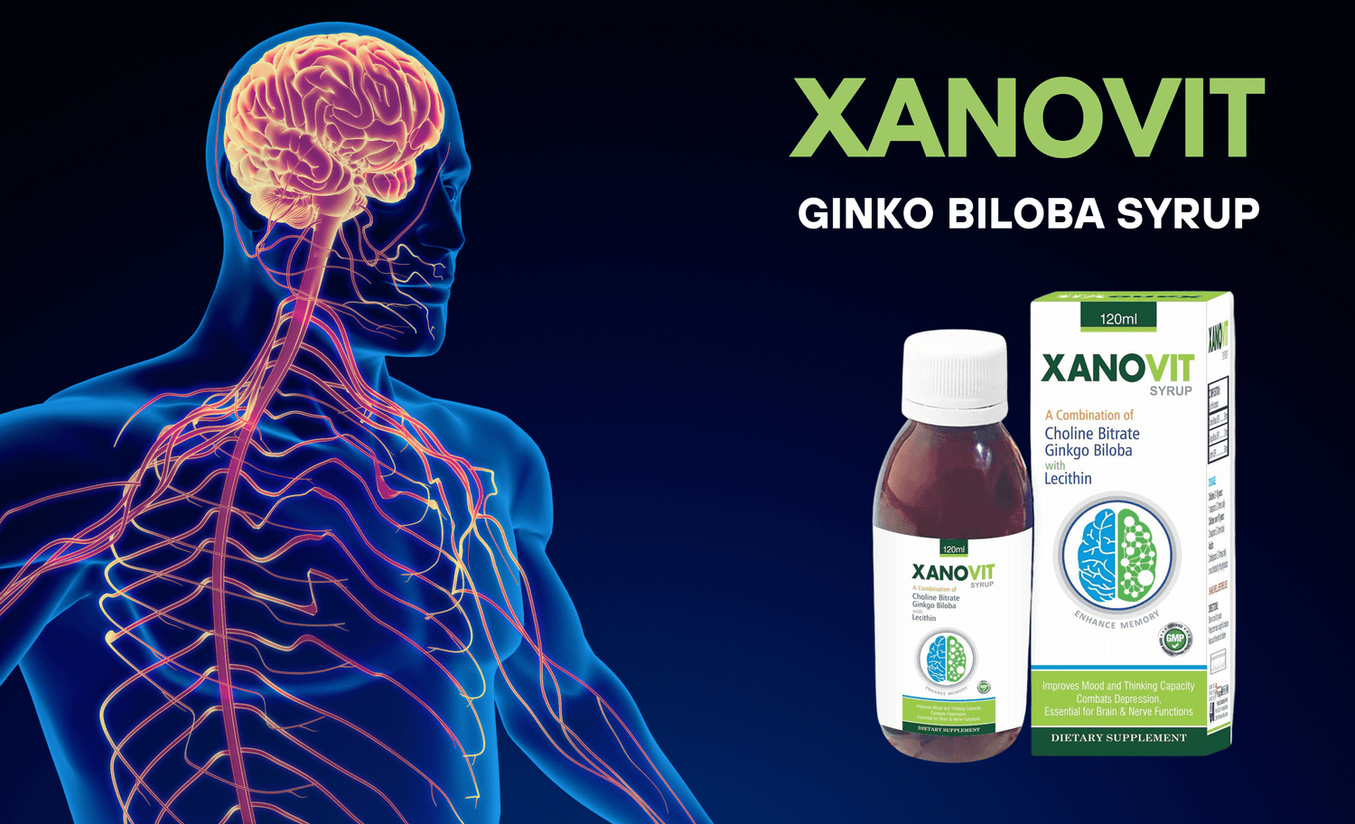 XANOVIT Ginkgo Biloba Syrup – Memory & Brain Booster – Paragon Laboratories